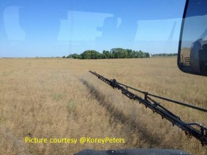 Drift – Sprayers 101