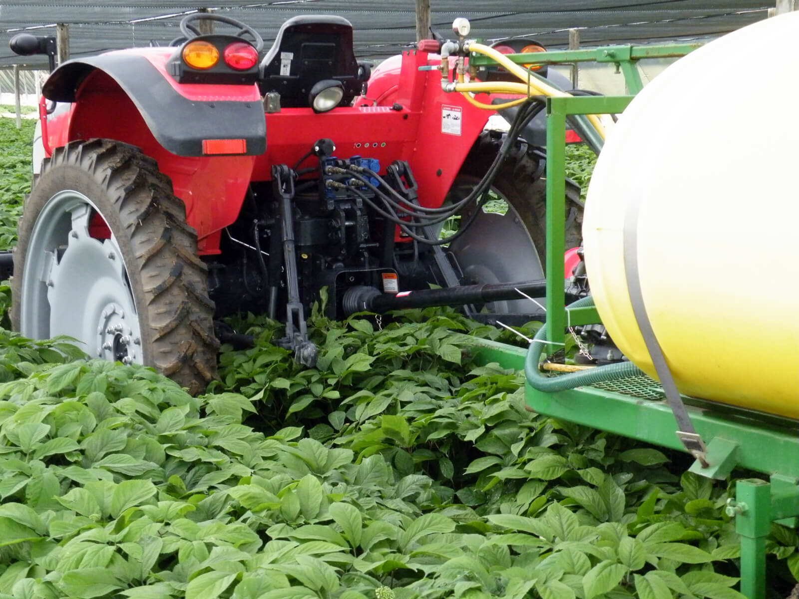How to Spray Ginseng – Sprayers 101