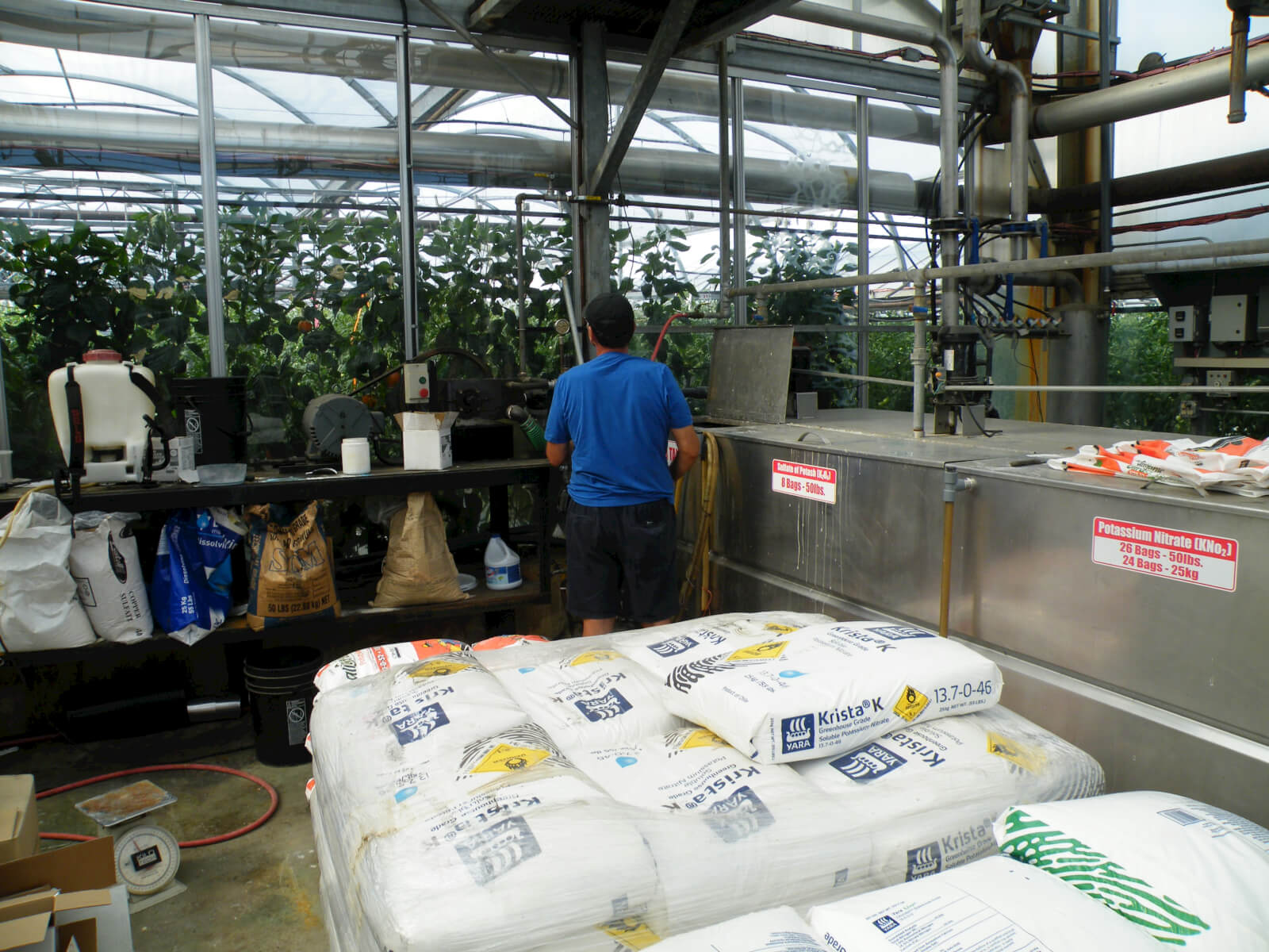 Spraying in Vegetable Greenhouses – Sprayers 101