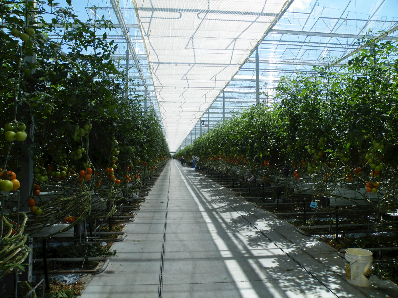 Nozzles & Droplets – Page 8 – Sprayers 101