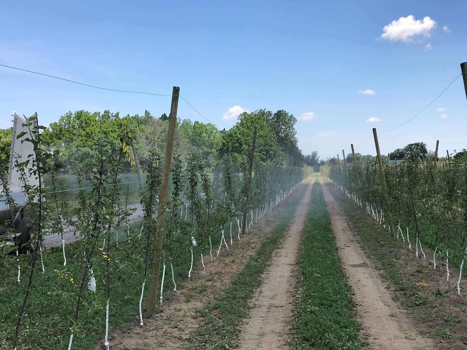 Rates and Calibration – Sprayers 101