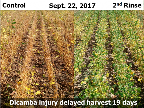 Testing the Effectiveness of Sprayer Rinsing Methods using Dicamba ...