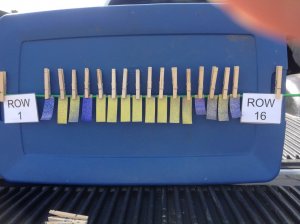 Spraying Sweet Corn – Sprayers 101