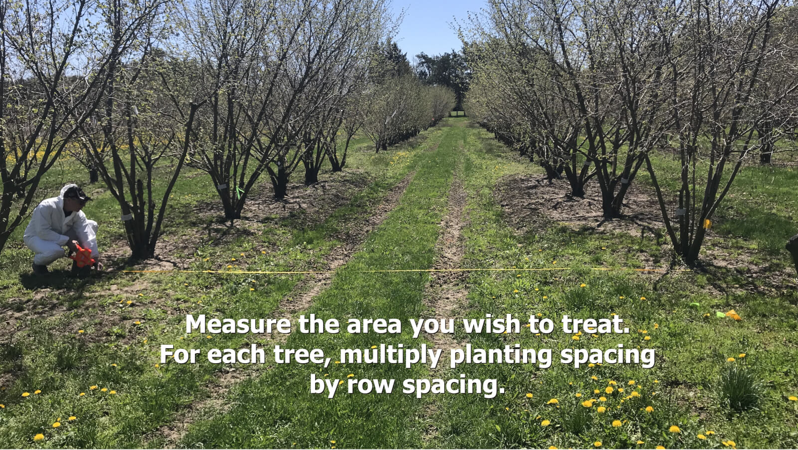 Calibrating a Plot Sprayer for Airblast Crops – Sprayers 101