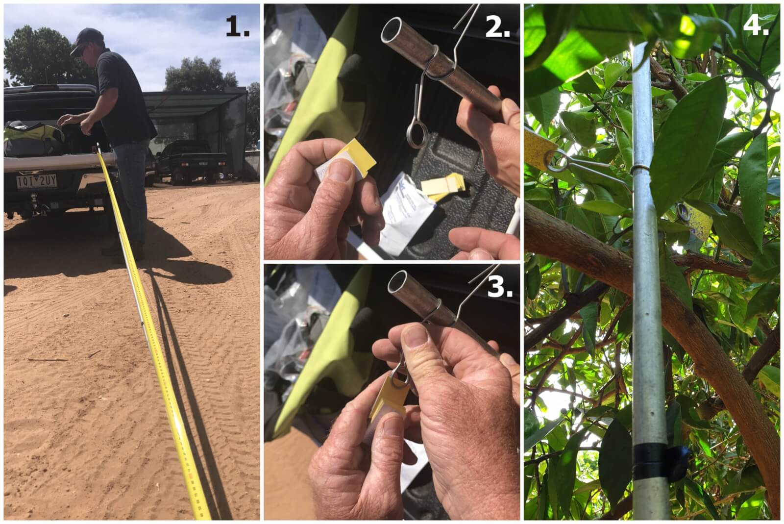 Assessing Airblast Coverage – Sprayers 101