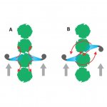 Airblast101 – Sprayers 101
