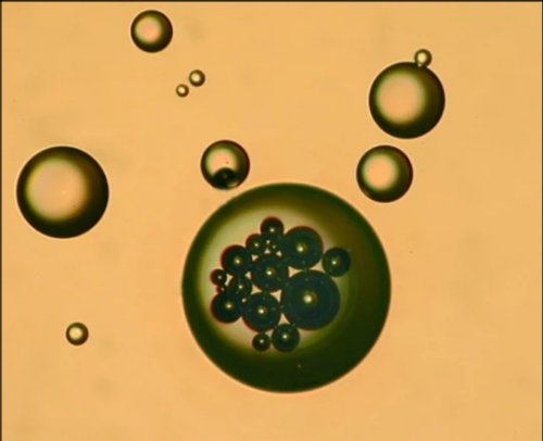 The Droplet Size Debate – Sprayers 101