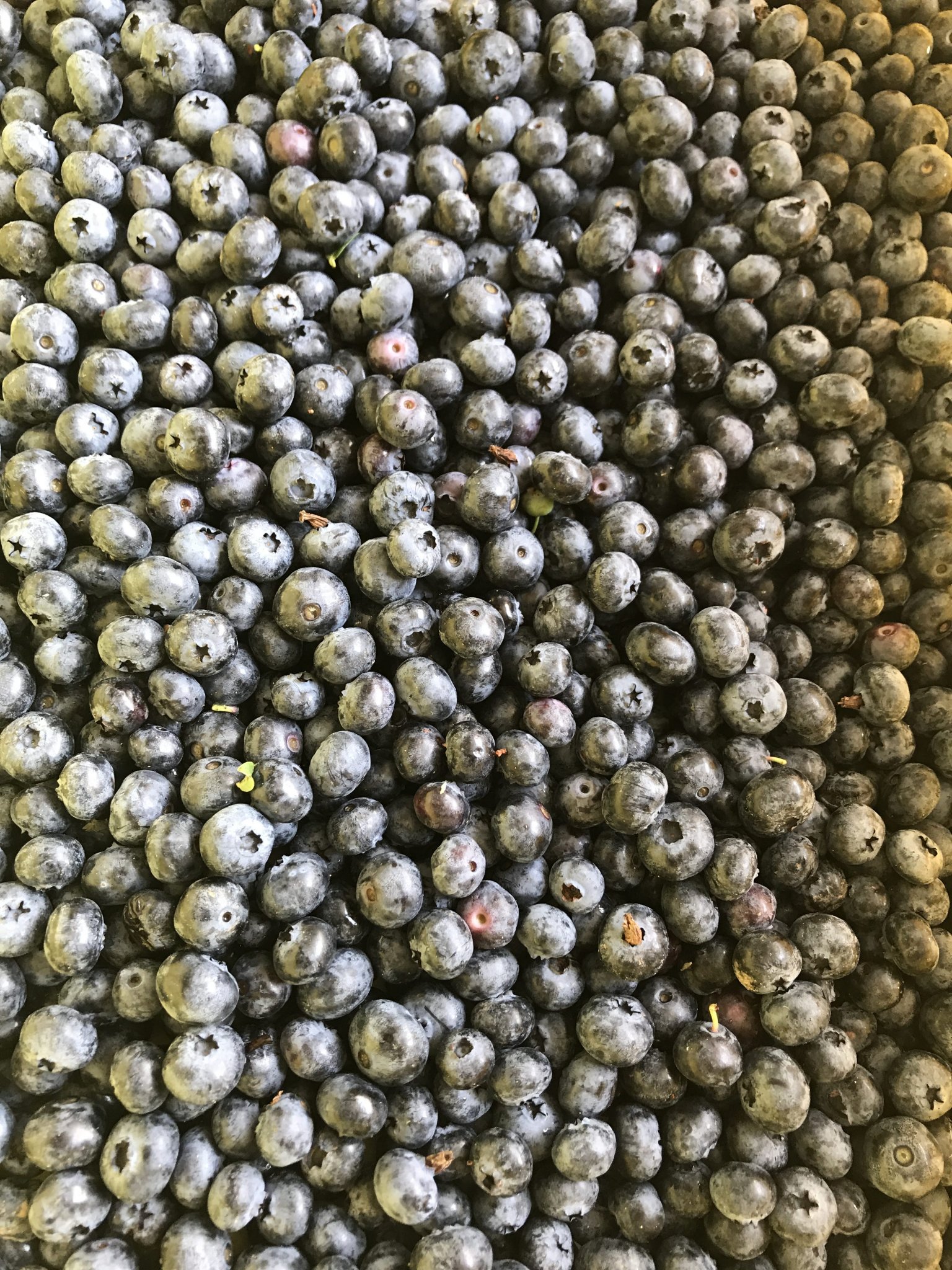 Coverage – Sprayers 101