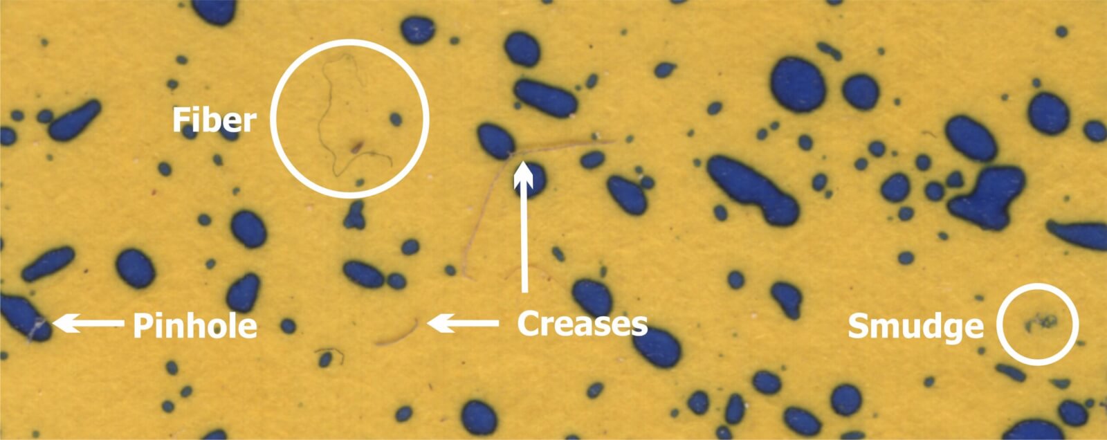 Assessing Water Sensitive Paper – Part 2 – Sprayers 101