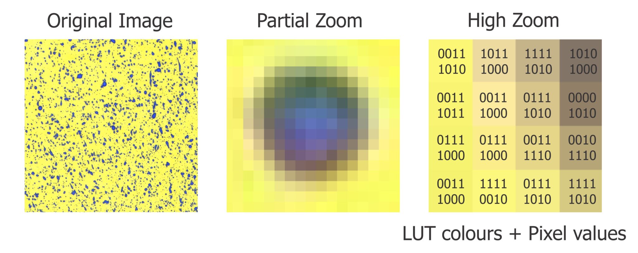 Assessing Water Sensitive Paper – Part 1 – Sprayers 101