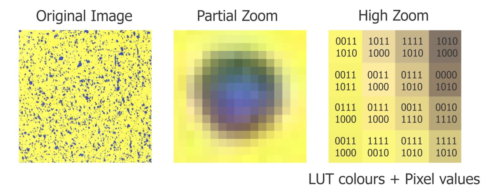Assessing Water Sensitive Paper – Part 1 – Sprayers 101