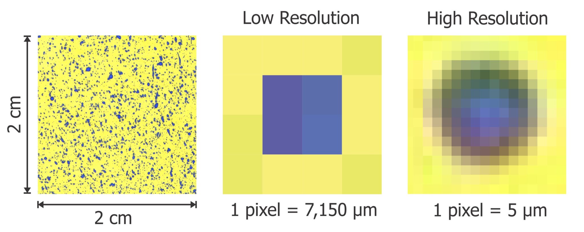 Assessing Water Sensitive Paper – Part 1 – Sprayers 101