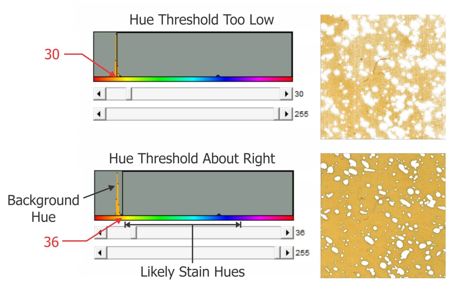 Assessing Water Sensitive Paper – Part 2 – Sprayers 101