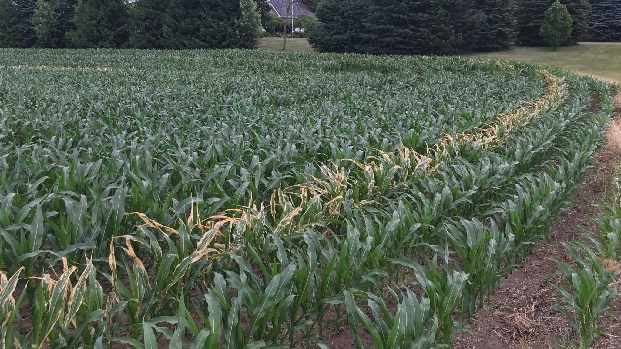 The Art and Beauty of Spraying – Sprayers 101