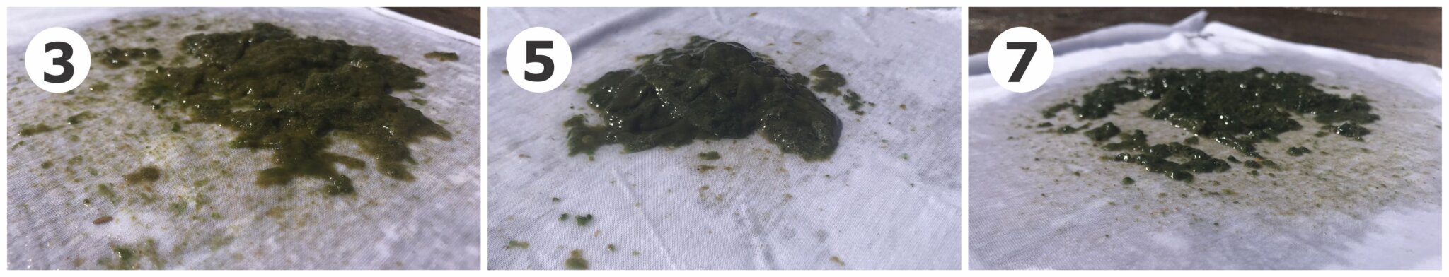 Evaluating methods for controlling algae in carrier water storage tanks ...