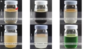 Tank mixing urease and nitrification inhibitors in corn weed-and-feed ...