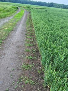 General Operation – Sprayers 101