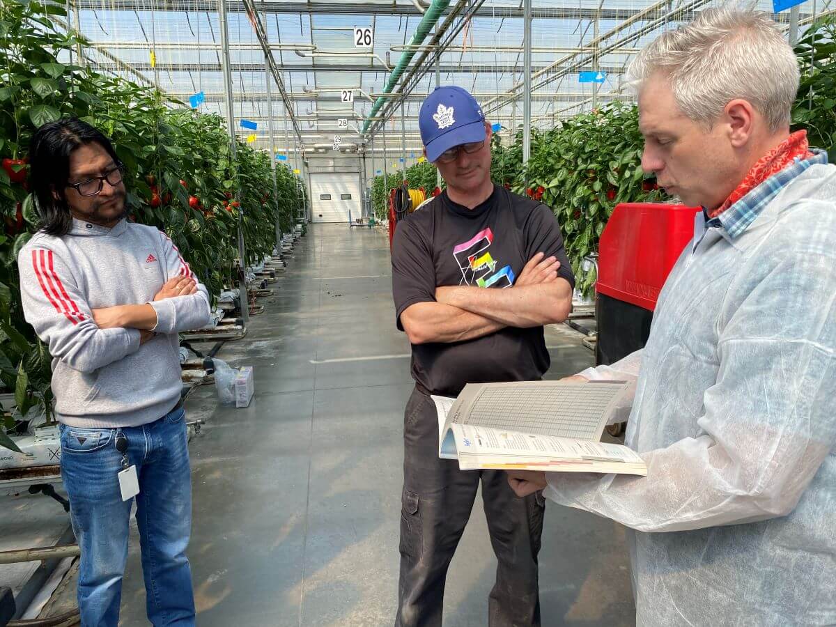 Optimizing a Greenhouse Vegetable Sprayer – Sprayers 101