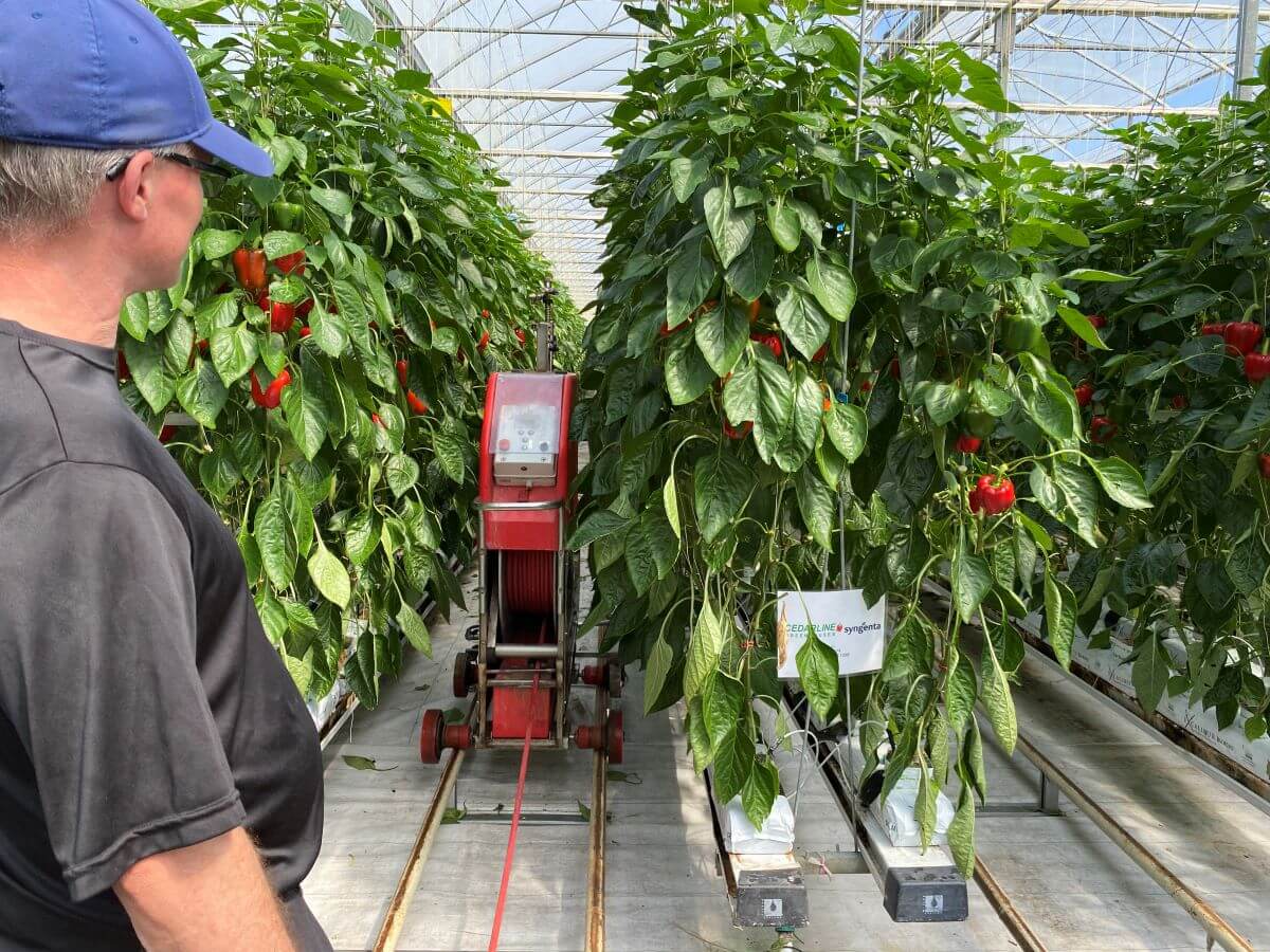 Optimizing a Greenhouse Vegetable Sprayer – Sprayers 101