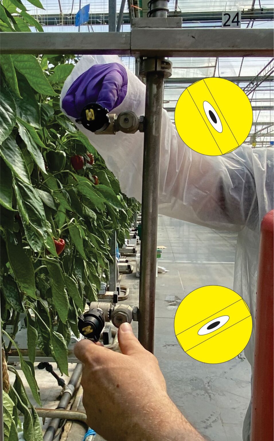 Optimizing a Greenhouse Vegetable Sprayer – Sprayers 101