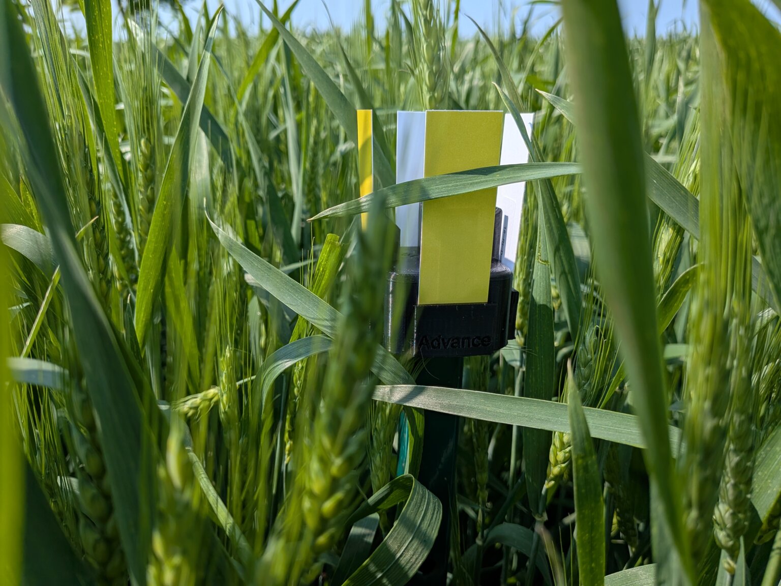 Characterizing RPAS coverage at four cardinal points on a vertical plane: Practical implications ...