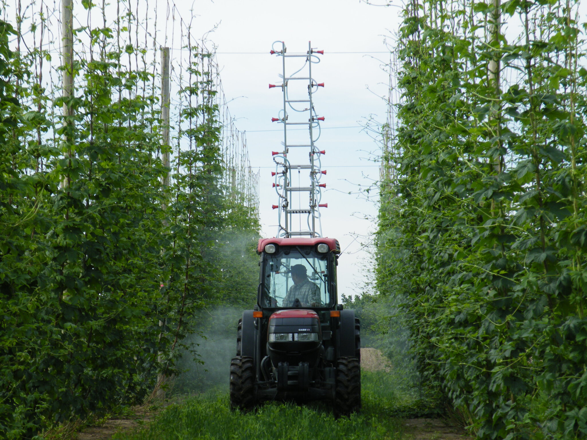 The Micothon M2 – The Benefit of Air-assist Spraying in a Vegetable ...