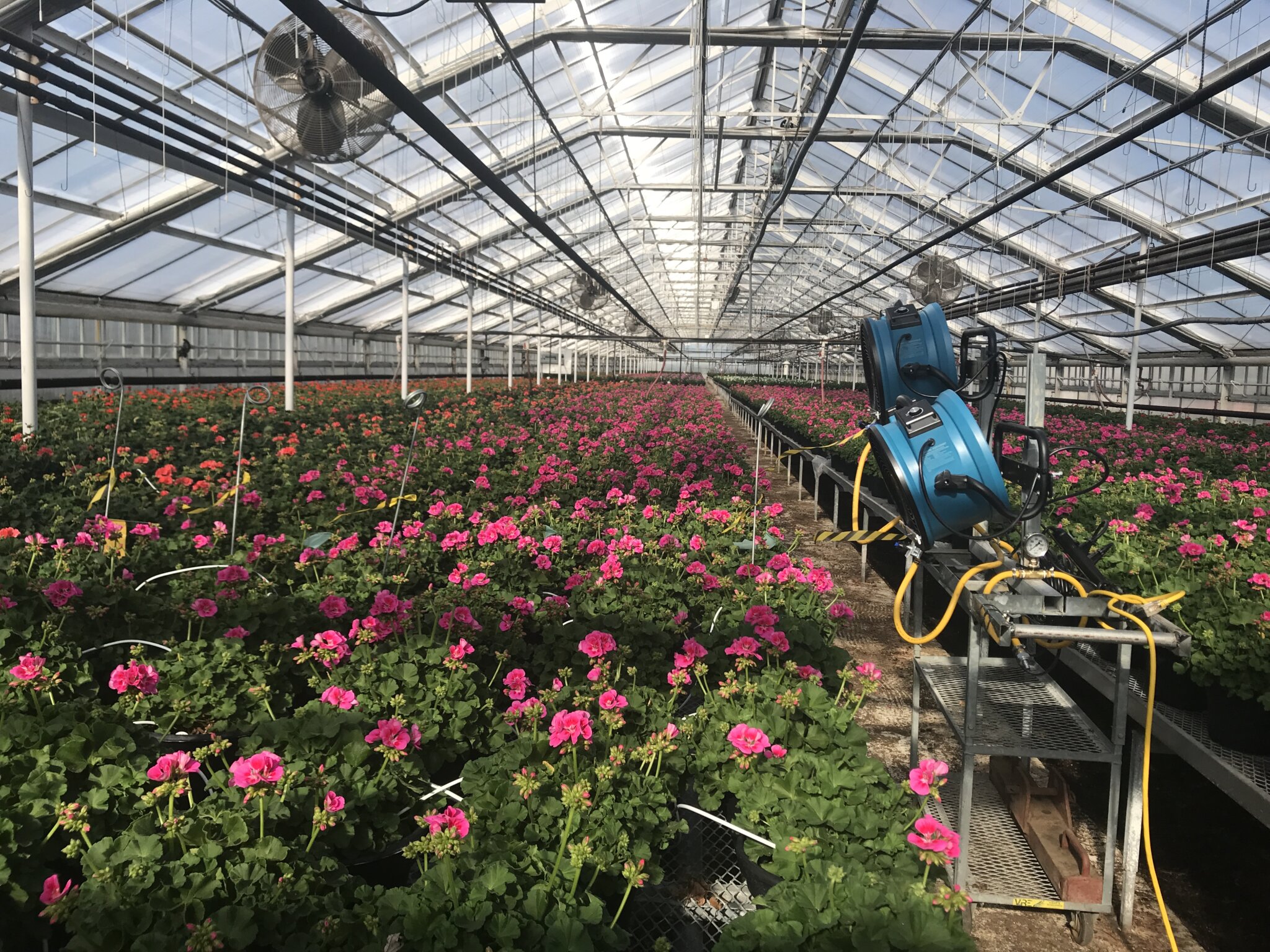 The Micothon M2 – The Benefit of Air-assist Spraying in a Vegetable ...